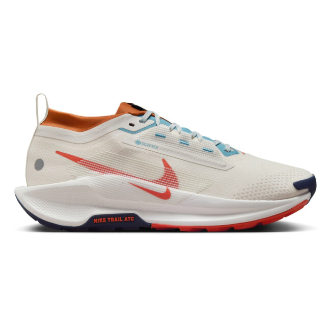 NIKE PEGASUS TRAIL 5 GORE-TEX MEN'S TRAIL RUNNING SHOES | Беговая обувь ...